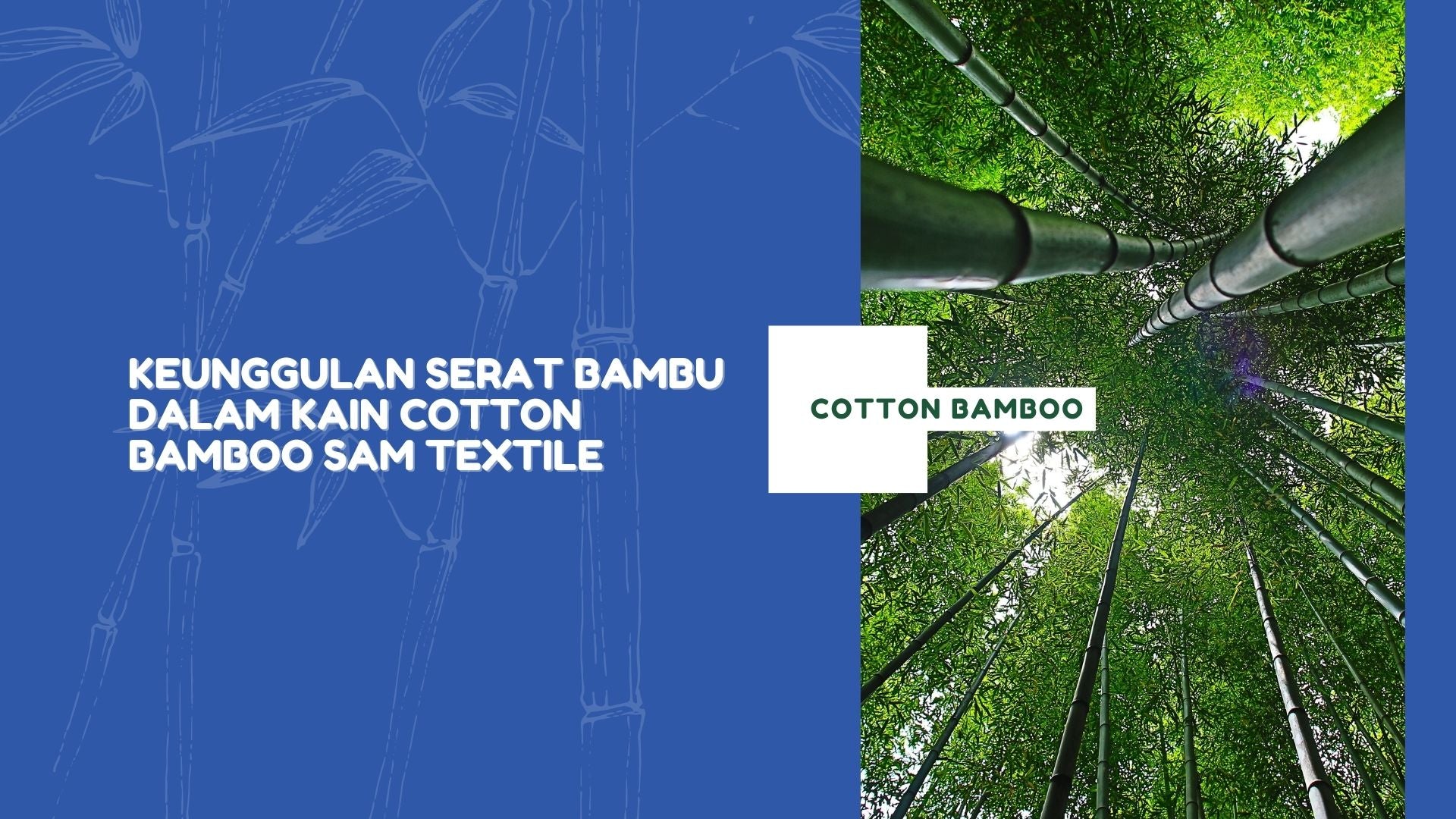 Keunggulan Serat Bambu dalam Kain Cotton Bamboo SAM Textile – CV Samtex